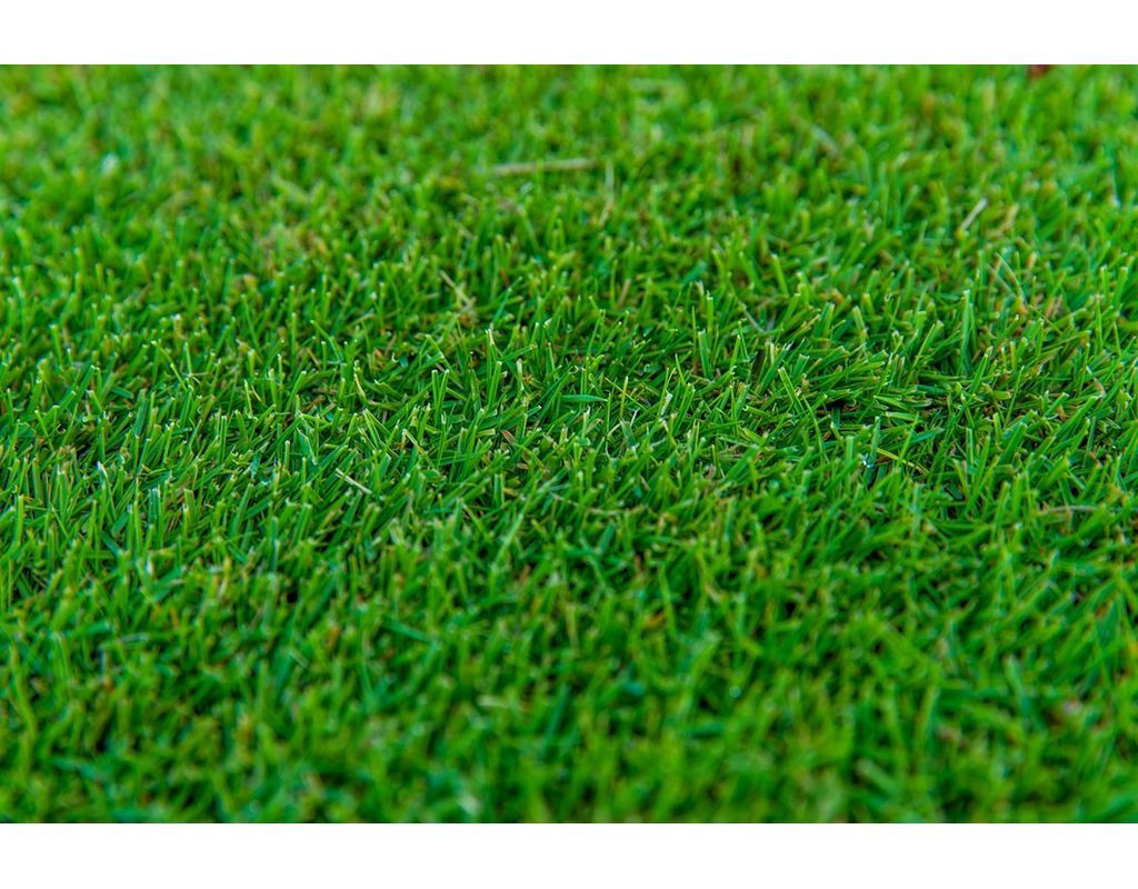 Bermuda TifTuf - Arlington Sod Company | Sod Installation & Delivery